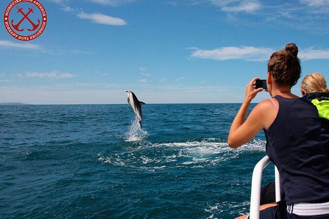 Dolphins Watching in the National Park Brijuni from Pula - Who Would Love This Tour?