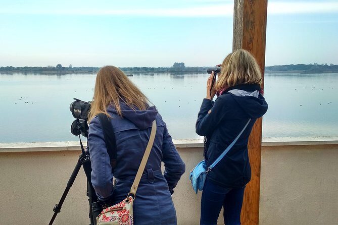 Donana National Park and El Rocío: Guided Tour from Seville - Who Is This Tour Best For?