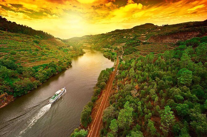 Douro Valley and Régua Panoramic Cruise with Lunch from Porto - Practical Details & What to Expect