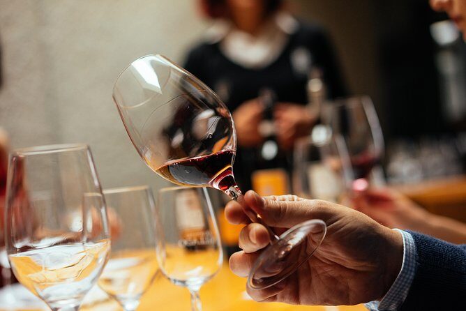 Douro Valley Private Day Trip including Boat Ride & Wine Tasting - Who Should Book This Tour?