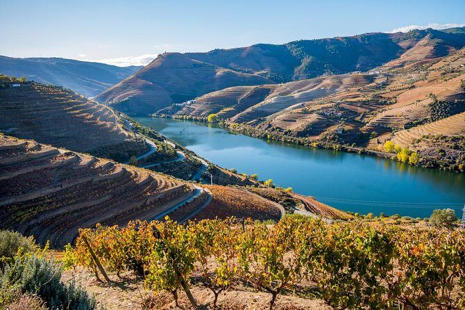 Douro Valley: private tour with lunch and wine estate all inclusive - The Itinerary: A Deep Dive