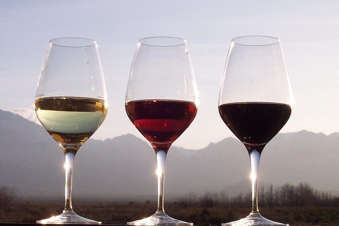 Douro Valley Private Wine and Food Tour From Porto - Who Should Book This Tour?