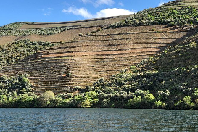 Douro Valley private wine tour | tastings and lunch included - Final thoughts: Who is this tour best for?