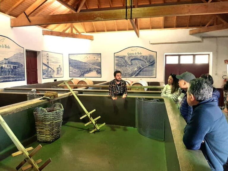 Douro Valley: Winery, Traditional Lunch & Private Boat Trip - A Detailed Look at the Tour Experience