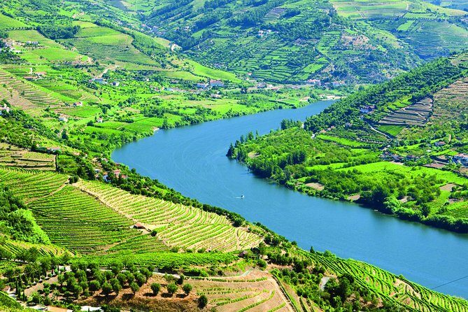 Douro Valley with Two Winery, Boat Trip and Lunch From Porto - Final Thoughts: Is It Worth It?