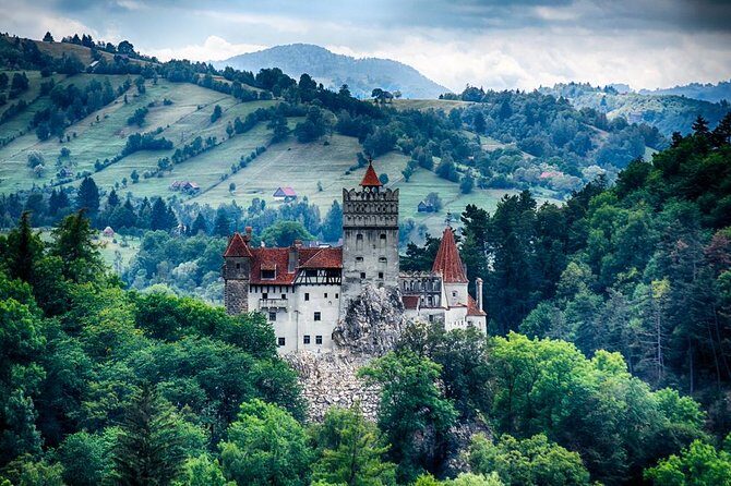 Dracula's Castle, Brasov and Peles Full-Day Tour from Bucharest - Practical Details and Tips
