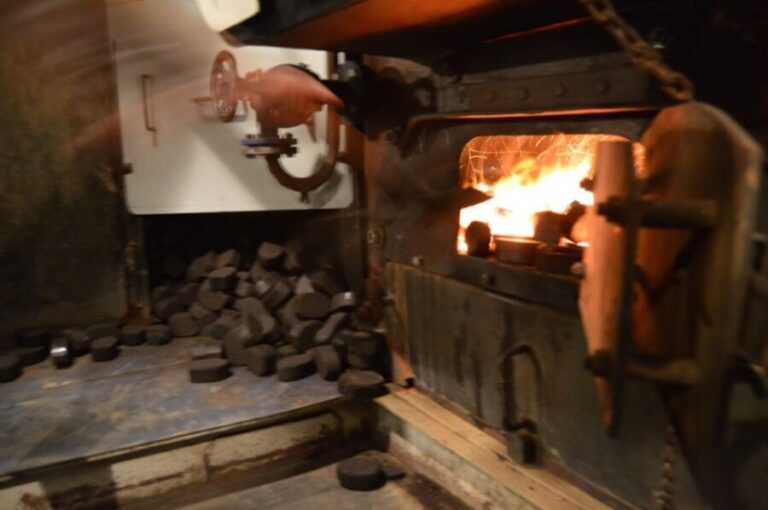 Dresden: Paddle Steamer Cruise & Canaletto View - Who Will Love This Tour?