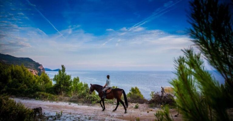 Dubrovnik Kojan Koral: Horseback Riding - The Itinerary: A Day in the Konavle Valley on Horseback
