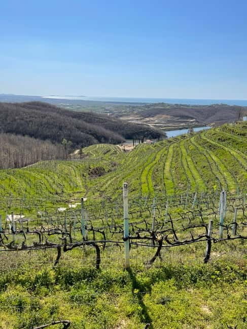 Durres & Wine Tasting Tour - Who Will Love This Tour?