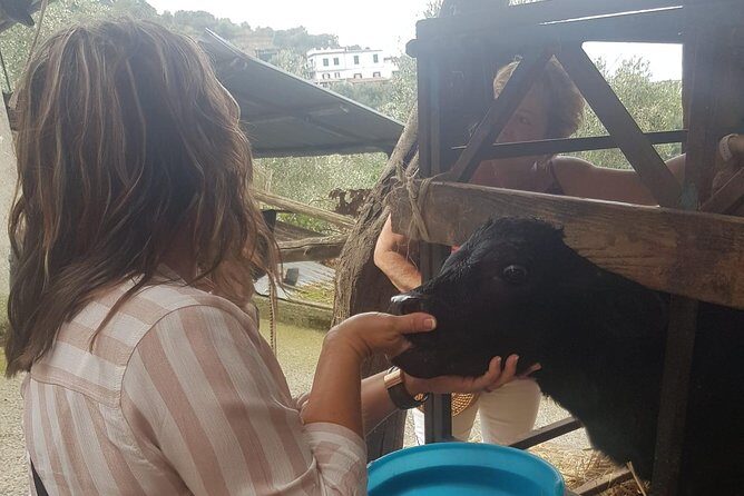 E-Bike Food and Wine Tour in the Sorrento Peninsula - The Farm Experience: A Highlight for Foodies