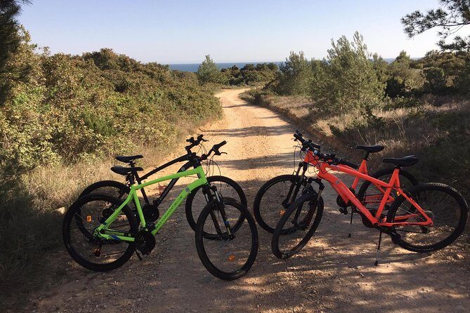 E-Bike Tour: Sete Vales Suspensos Trail (Marinha and Benagil) - The Sum Up