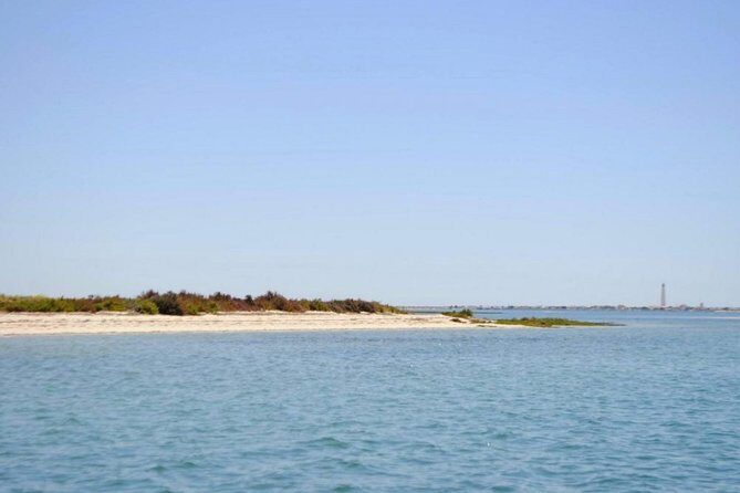 Eco Boat Tour in the Ria Formosa Lagoon from Faro - Booking and Practical Details