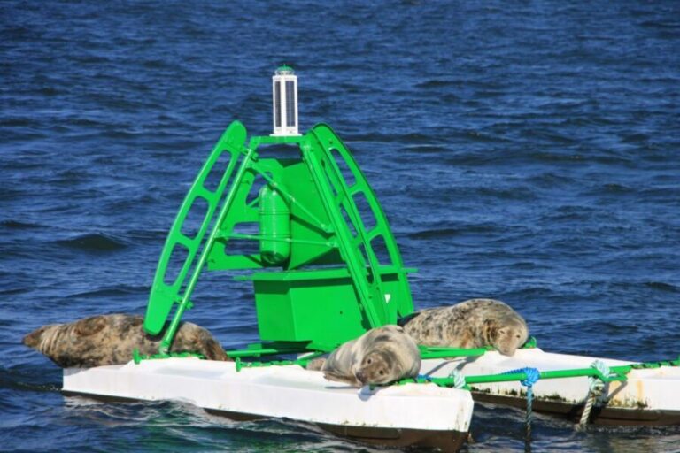 Edinburgh: 'Firth of Forth' Three Bridges Sightseeing Cruise - Why This Tour Is Best For