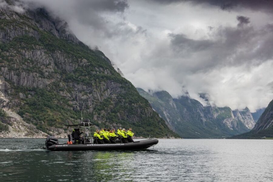 Eidfjord: 1-Hour Fjord RIB Tour - Analyzing the Value and Price