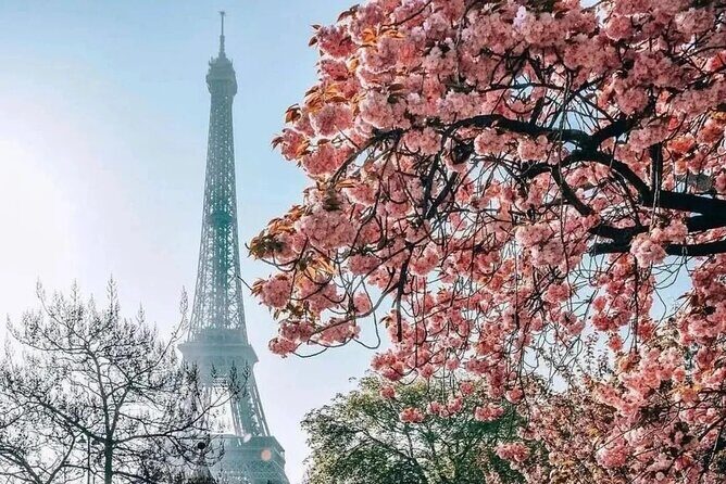 Eiffel Tower Dedicated Reserved Access Top or 2nd floor by lift - The Value of the Tour