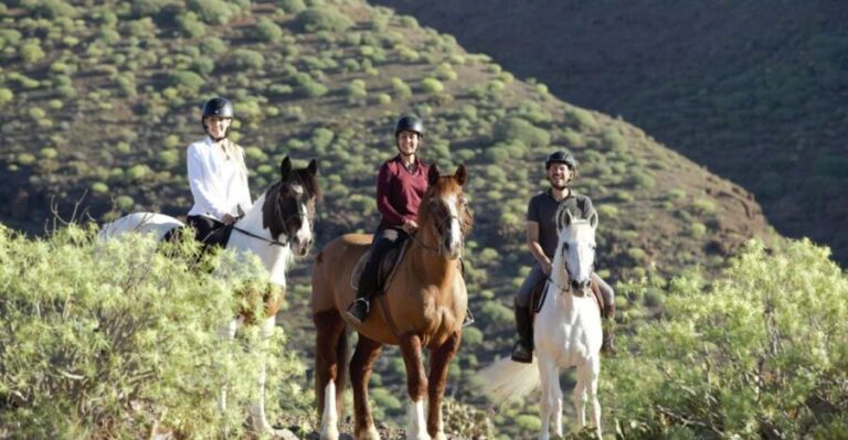 El Salobre: Horse Riding Adventure with Transfer Options - What to Expect from the Ride