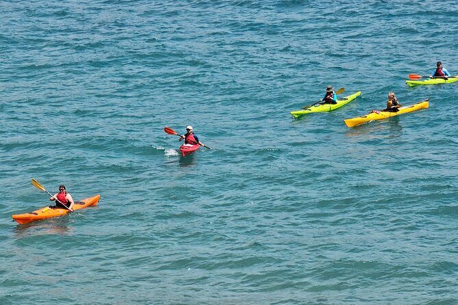 Elafiti Islands Sea kayaking: Full-Day Bike and Kayak tour on Lopud and ipan - Why This Tour Works Well