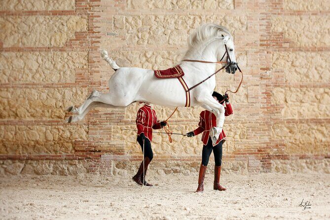 Equestrian Show Royal Stables of Córdoba - Authentic Experiences from Reviewers