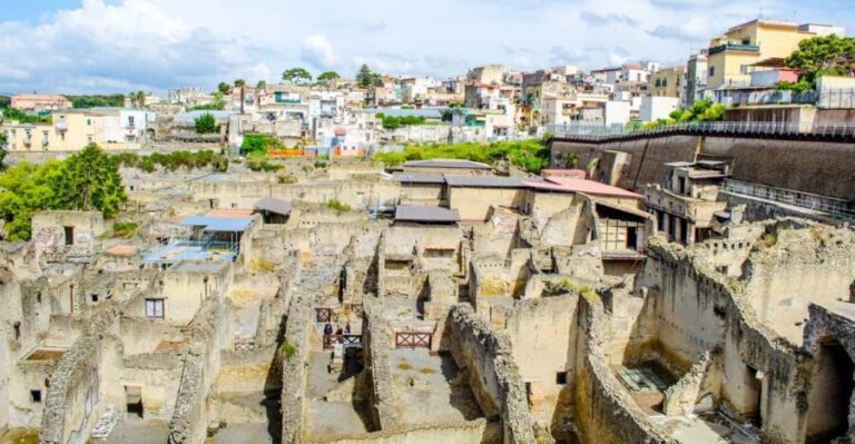 Ercolano: Herculaneum Entry Ticket with Optional Audio Guide - A Closer Look at the Herculaneum Experience