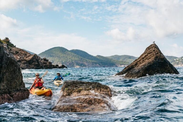 Es Figueral: Guided Kayaking and Snorkeling Tour - The Itinerary in Detail