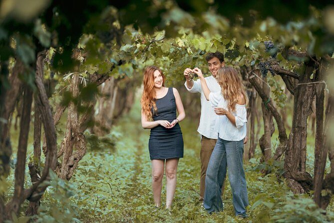 Etna Countryside Food & Wine Lovers Tour (Small Group or Private) - Why This Tour Excels