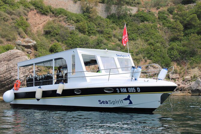 Exciting PADI Discover Scuba Diving Experience Isola Bella Marine Park Taormina - The Experience Itself: What You’ll Actually Do