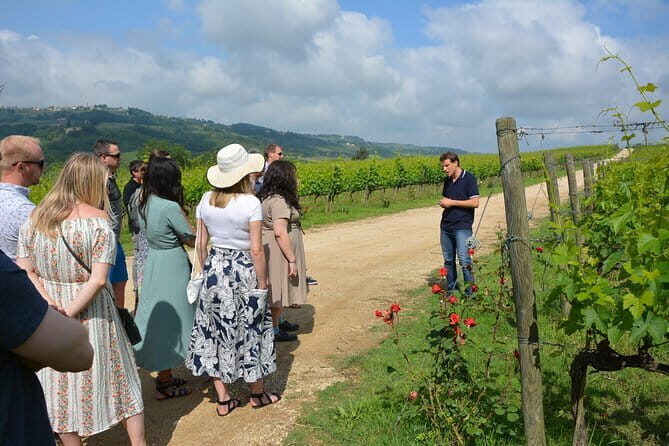 Experience Chianti & Cheese w/ 3 wineries & dairy visitmax 8 pp - Who Would Love This Tour?