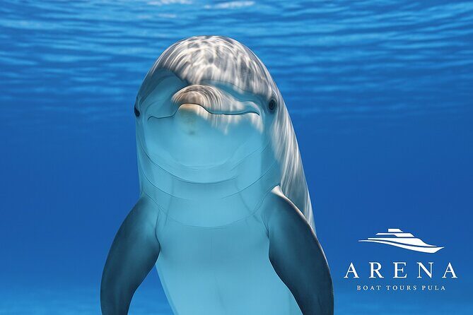 Fantastic DOLPHIN & SUNSET TOUR with dinner ( Pula-NP BRIJUNI ) - What Makes This Tour Stand Out?