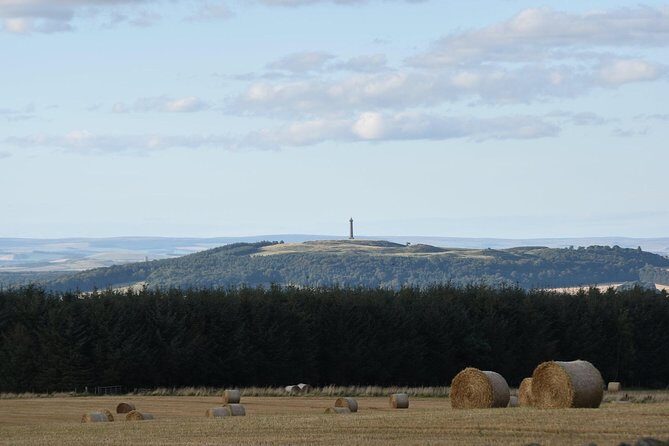 Farm Attraction - Highland Cows, Animal Feeding, Wholesome fun! - The Reviews Speak Volumes