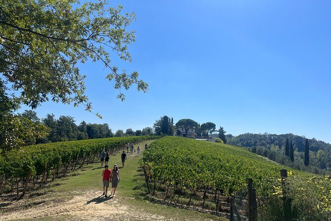 Farm To table Experience on an organic hilltop estate in Tuscany - In-Depth Review: A Day of Food, Wine, and Tuscan Charm