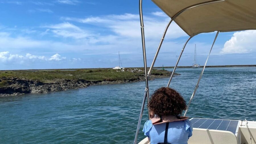 Faro: Ria Formosa Boat Tour by Eco-Friendly Solar Boat - Who Will Love This Tour?