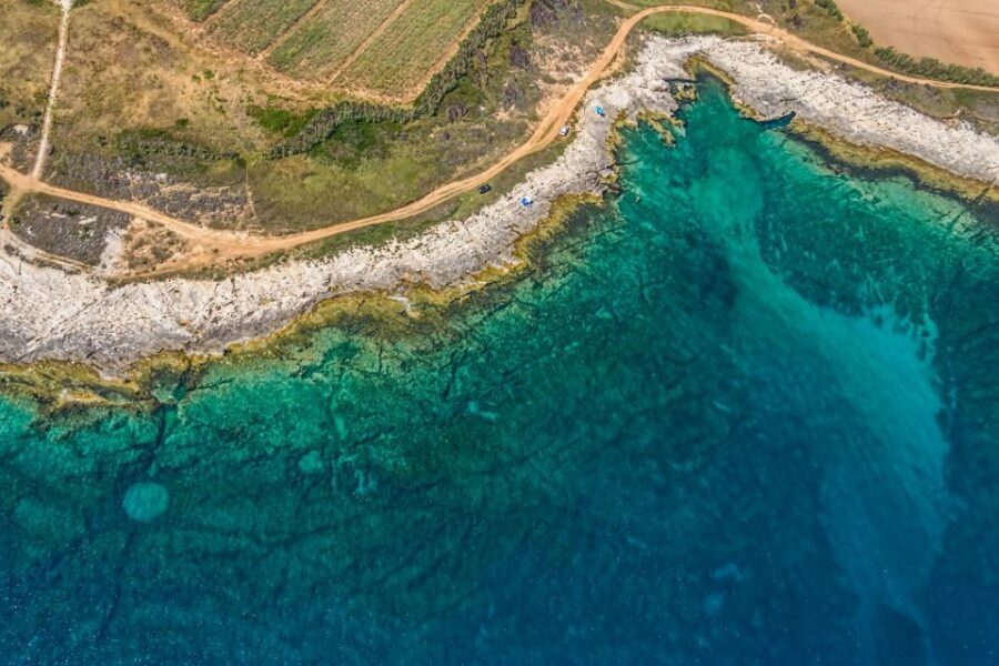 Fazana: Brijuni National Park Scenic Boat Tour & Swimming - The Experience: Pros and Cons