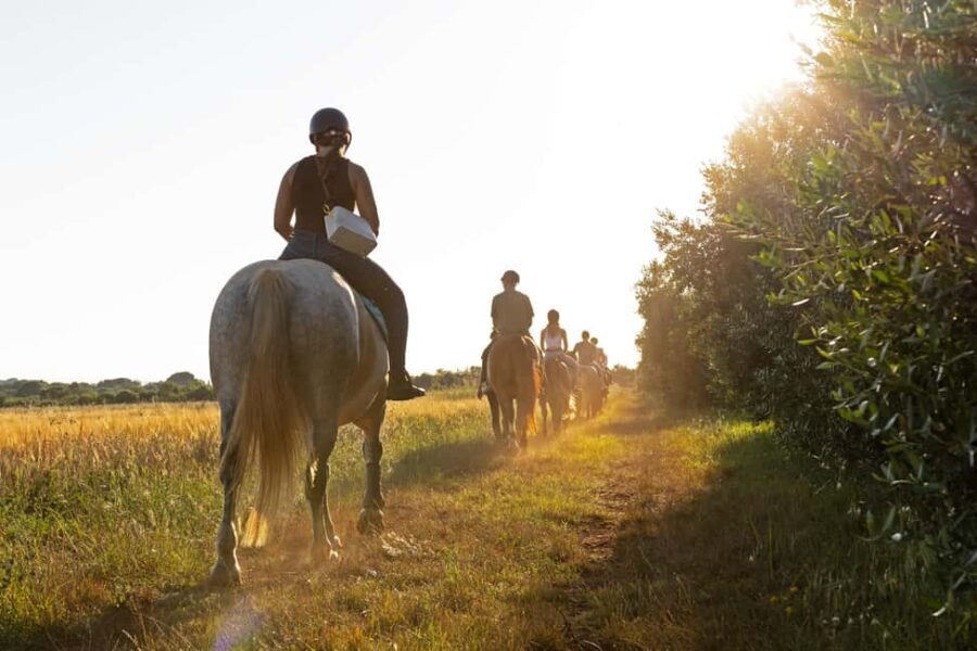 Fazana: Sunset 1-hour Horse Riding in Nature with Guide - Practical Details and Logistics