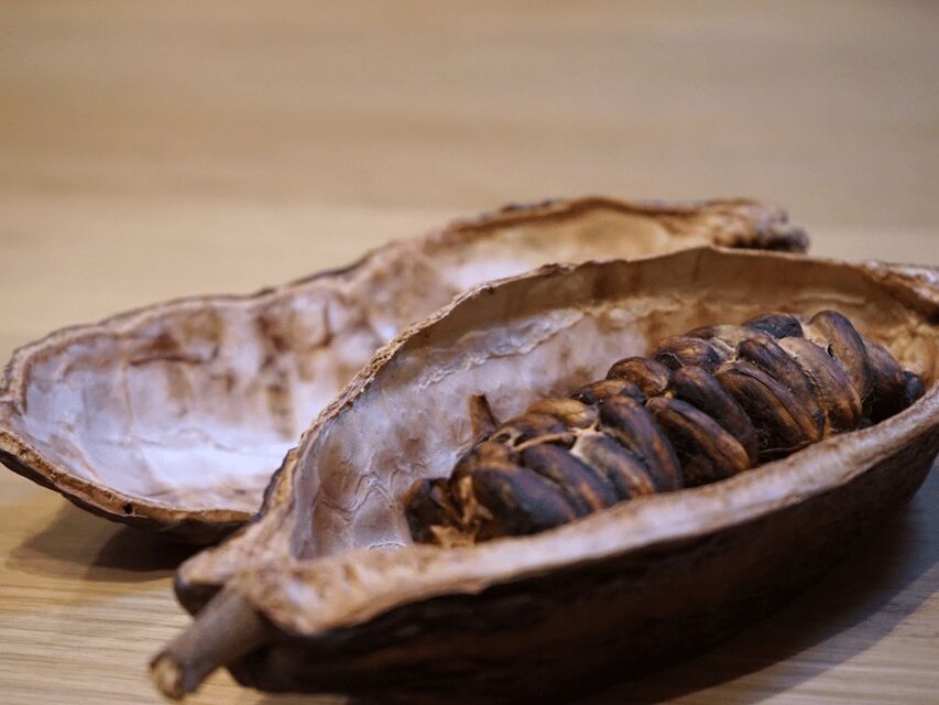 Fine Chocolate Tasting in Turin - Why This Tour Is a Must-Do for Chocolate Lovers