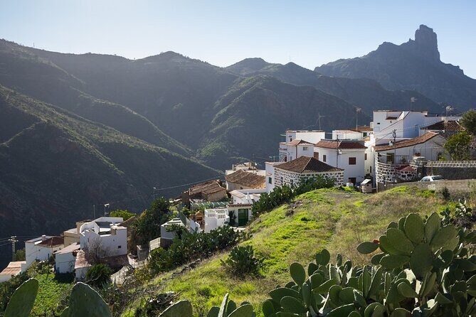Firgas, Tejeda, Guayadeque - VIP Tour Gran Canaria - Transportation and Comfort