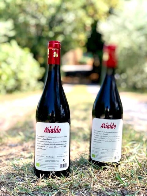 Florence: Countryside Tour with Wine Tasting & Pasta Class - Authentic Experiences That Shine