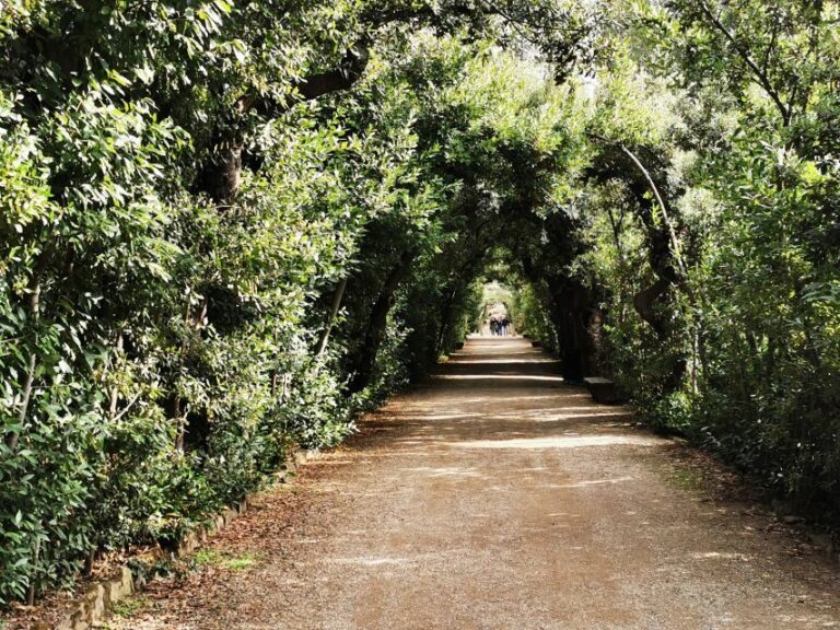 Florence: Pitti Palace, Boboli Garden, Palatine Gallery Tour - What’s Included and What’s Not