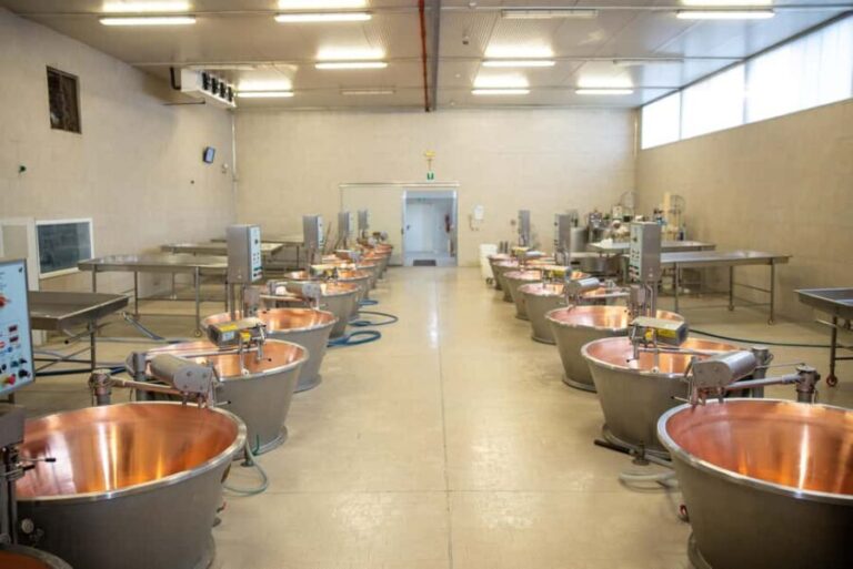 Formigine: Parmigiano tour with full tasting - Behind the Scenes of Cheese-Making