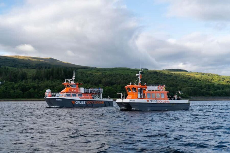 Fort William: Seal Island Boat Tour - What to Expect on Your Seal Island Boat Tour