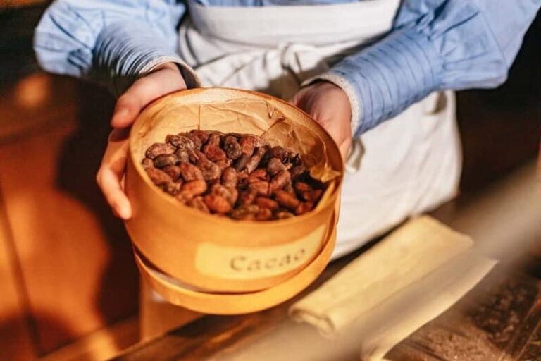 Frankfurt: Virtual Reality Time Travel Experience Ticket - An In-Depth Look at the Frankfurt VR Time Travel Experience