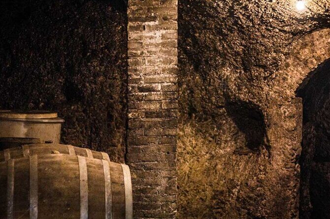 Frascati Day Tour: Road from Rome with Wine Tasting & Lunch - The Experience’s Value: Breaking Down the Cost