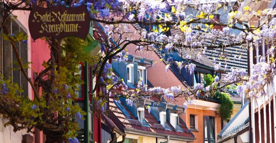 Freiburg: Gässle, Bächle and More City Tour - What Is Included and What Isn’t