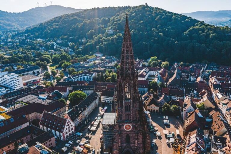 Freiburg: Veni, vidi, vino - wine hike and tasting - Freiburg: Veni, vidi, vino - wine hike and tasting