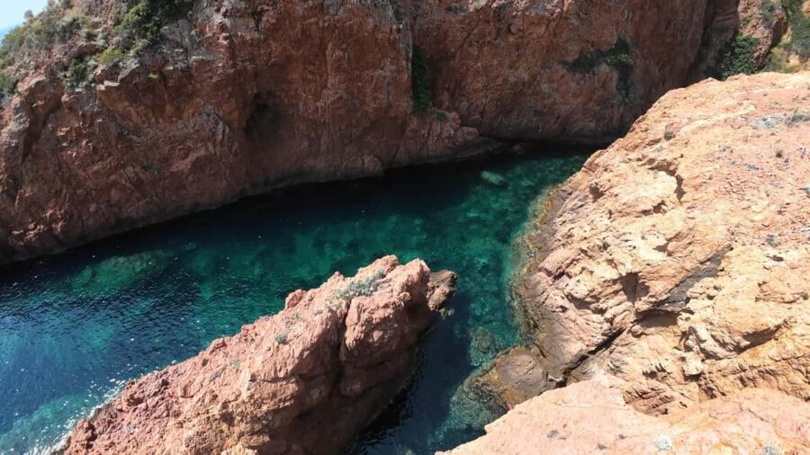 Fréjus : Esterel Calanques Cruise (Comfort Boat) + Swim Stop - Key Points