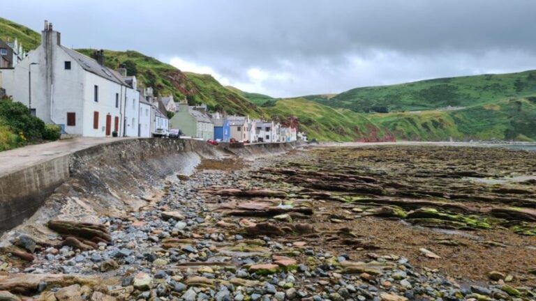 From Aberdeen: Coastal Villages of Aberdeenshire Tour - What We Loved About the Tour