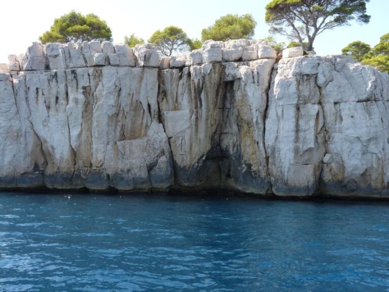 From Aix-en-Provence: Cassis Tour with Cap Canaille Stop - Deep Dive into the Experience