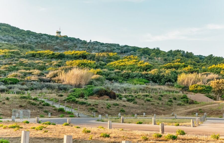 From Ajaccio/Porticcio:Ajaccio & Sanguinaires Gulf Boat Tour - What Travelers Say