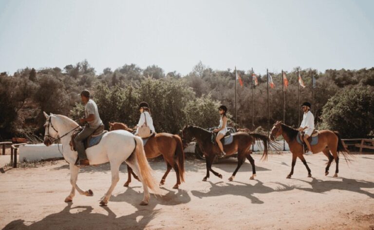 From Albufeira: Horse Riding Tour with Pickup - Who Is This Tour Best For?
