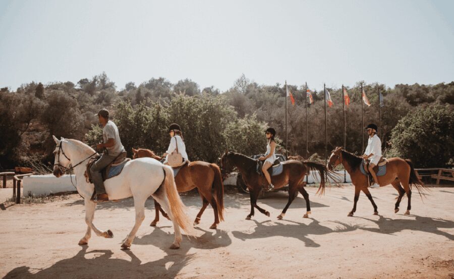 From Albufeira: Horse Riding Tour with Pickup - Who Is This Tour Best For?