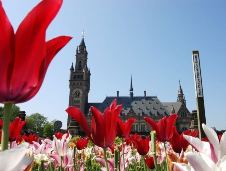 From Amsterdam: Guided Trip to Rotterdam, Delft & The Hague - What Makes This Tour Stand Out